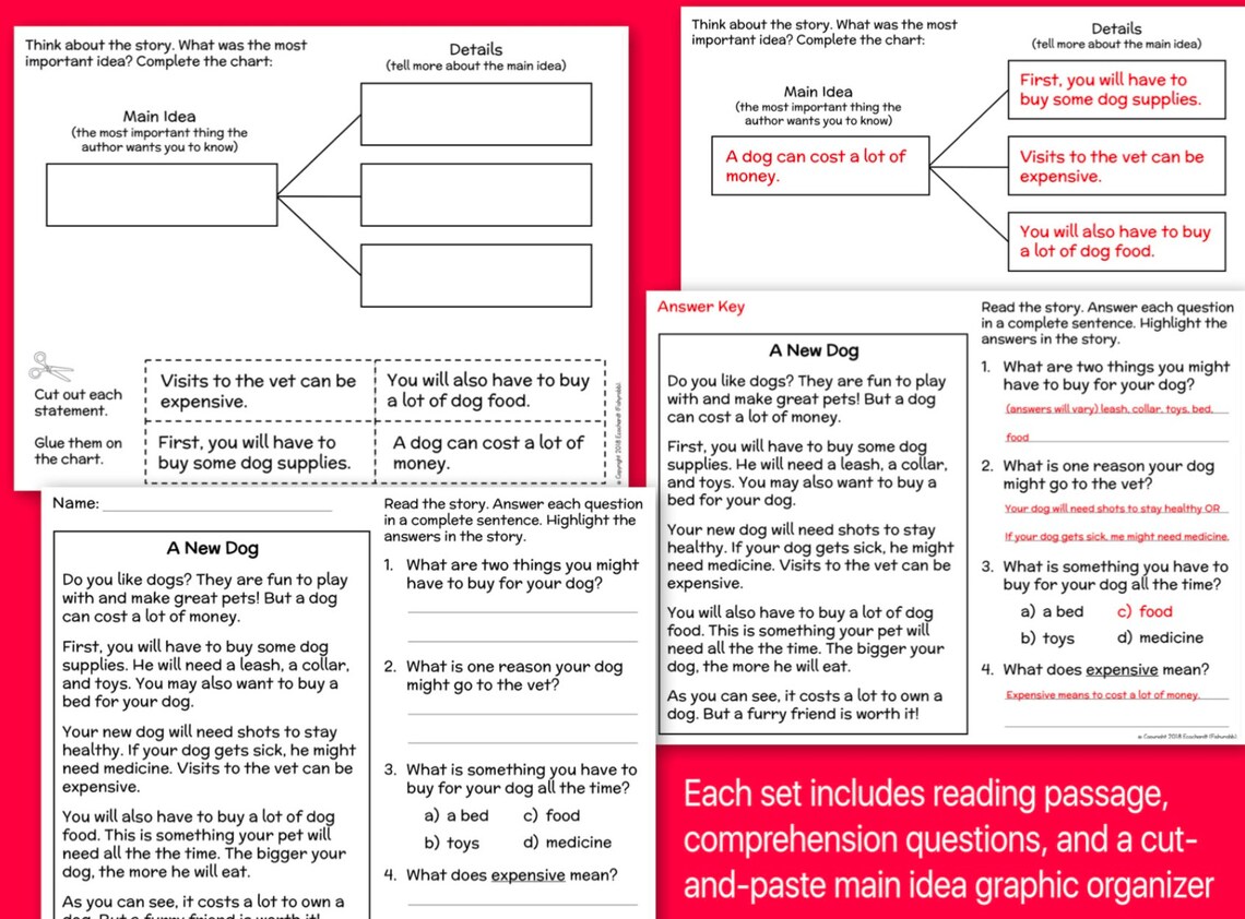 2nd Grade Reading Comprehension Worksheets MAIN IDEA Classroom - Etsy