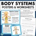 Human Body Systems 3rd 4th 5th Grade Science Posters & Worksheets ...