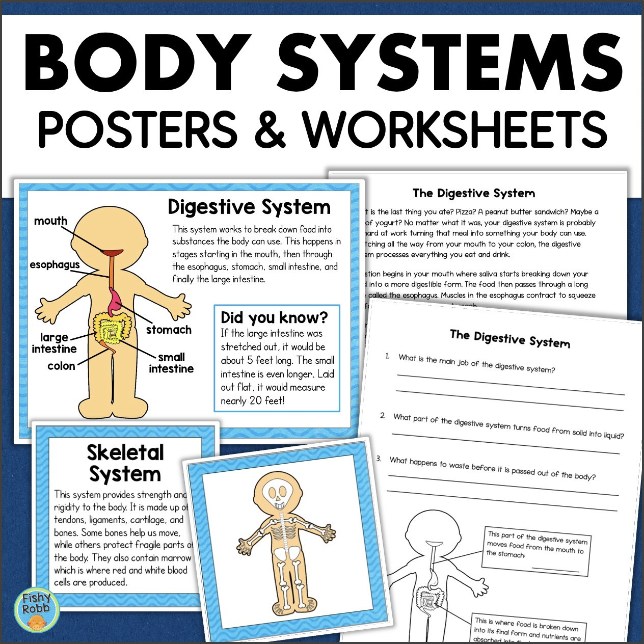 Human Body Systems 3rd 4th 5th Grade Science Posters & Worksheets ...