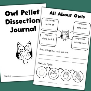 Owl Pellet Dissection Activity Lab Booklet 2nd 3rd 4th Grade Science ...
