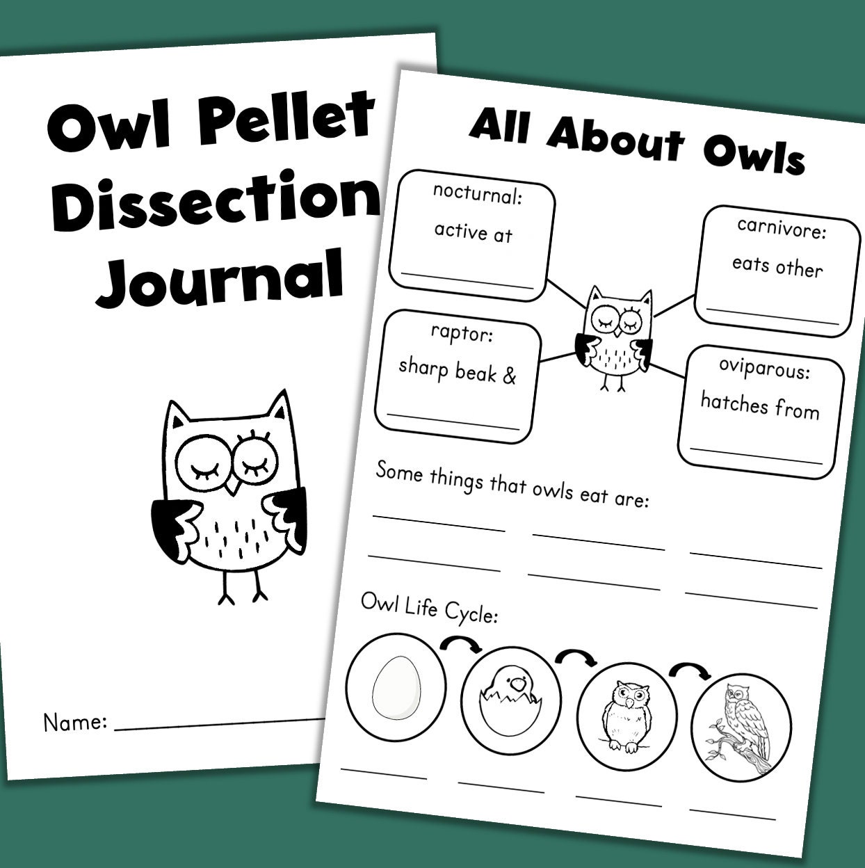 Owl Pellet Dissection Lab Pdf