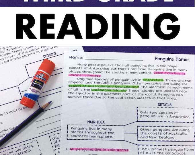 3rd Grade Reading Comprehension Worksheets Short Stories Summer Reading ...