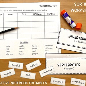 Vertebrates and Invertebrates Animal Classification Science Activities ...