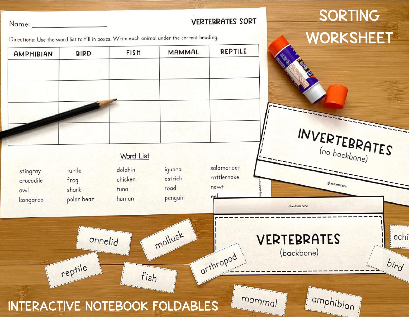 Vertebrates and Invertebrates Animal Classification Science Activities ...