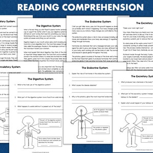 Human Body Systems 3rd 4th 5th Grade Science Posters & Worksheets ...