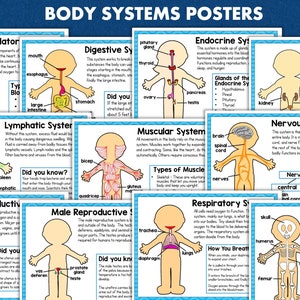 Human Body Systems 3rd 4th 5th Grade Science Posters & Worksheets ...