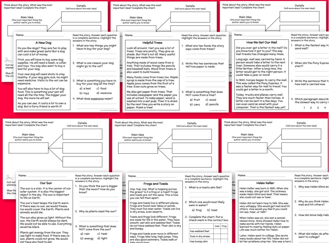 2nd Grade Reading Comprehension Worksheets MAIN IDEA Classroom - Etsy