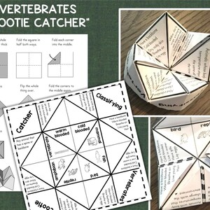 Vertebrates and Invertebrates Animal Classification Science Activities ...