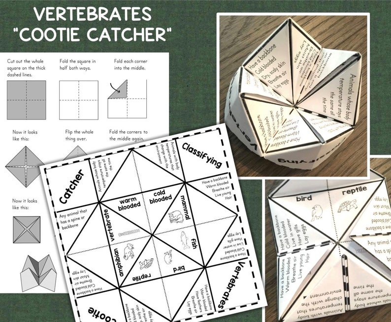 Vertebrates and Invertebrates Animal Classification Science Activities ...
