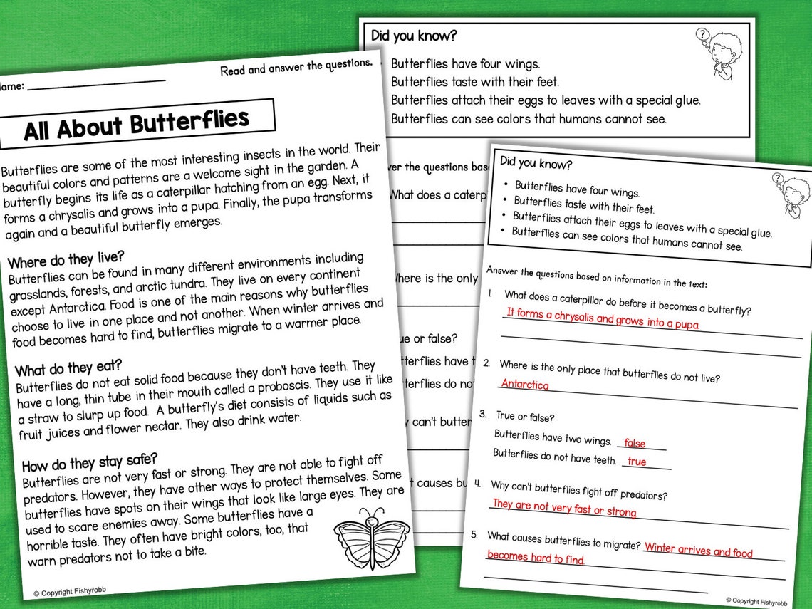 ANIMALS Reading Comprehension Worksheets Bats Bees Butterflies - Etsy