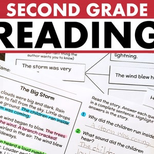 2nd Grade Reading Comprehension Worksheets MAIN IDEA Classroom - Etsy