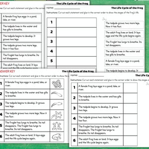 Frog Life Cycle Printable Science Worksheets Posters Activities ...