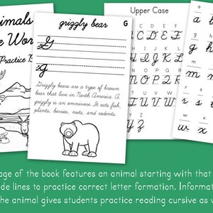 Printable Wild Animals Cursive Alphabet Posters & Handwriting Practice ...