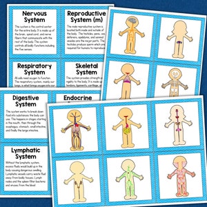 Human Body Systems 3rd 4th 5th Grade Science Posters & Worksheets ...