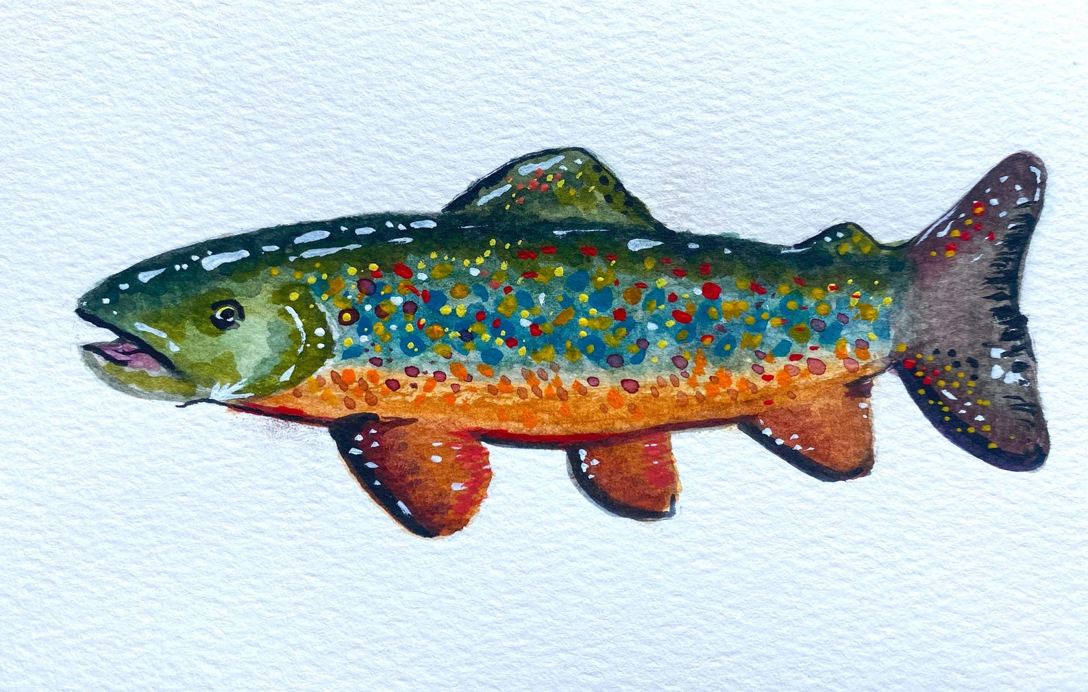 Rainbow Trout Fish Watercolor Painting Print 8x10" - Etsy