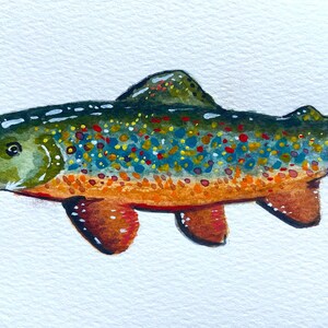 Rainbow Trout Fish Watercolor Painting Print 8x10" - Etsy