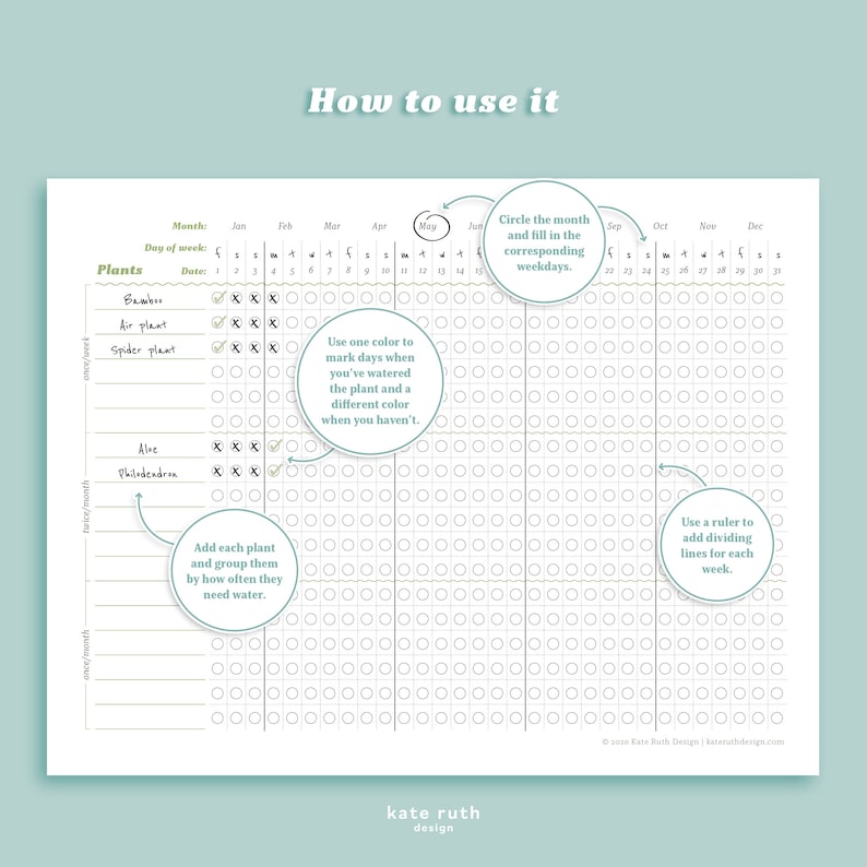Plant Watering Schedule Printable - Etsy