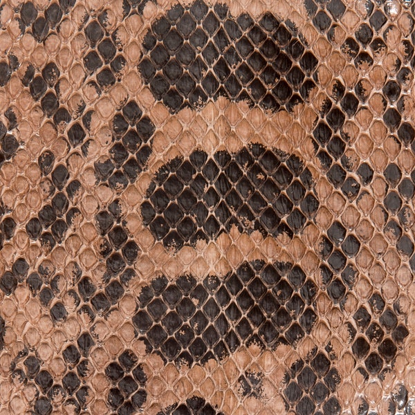 Anaconda Snake Skin - Etsy