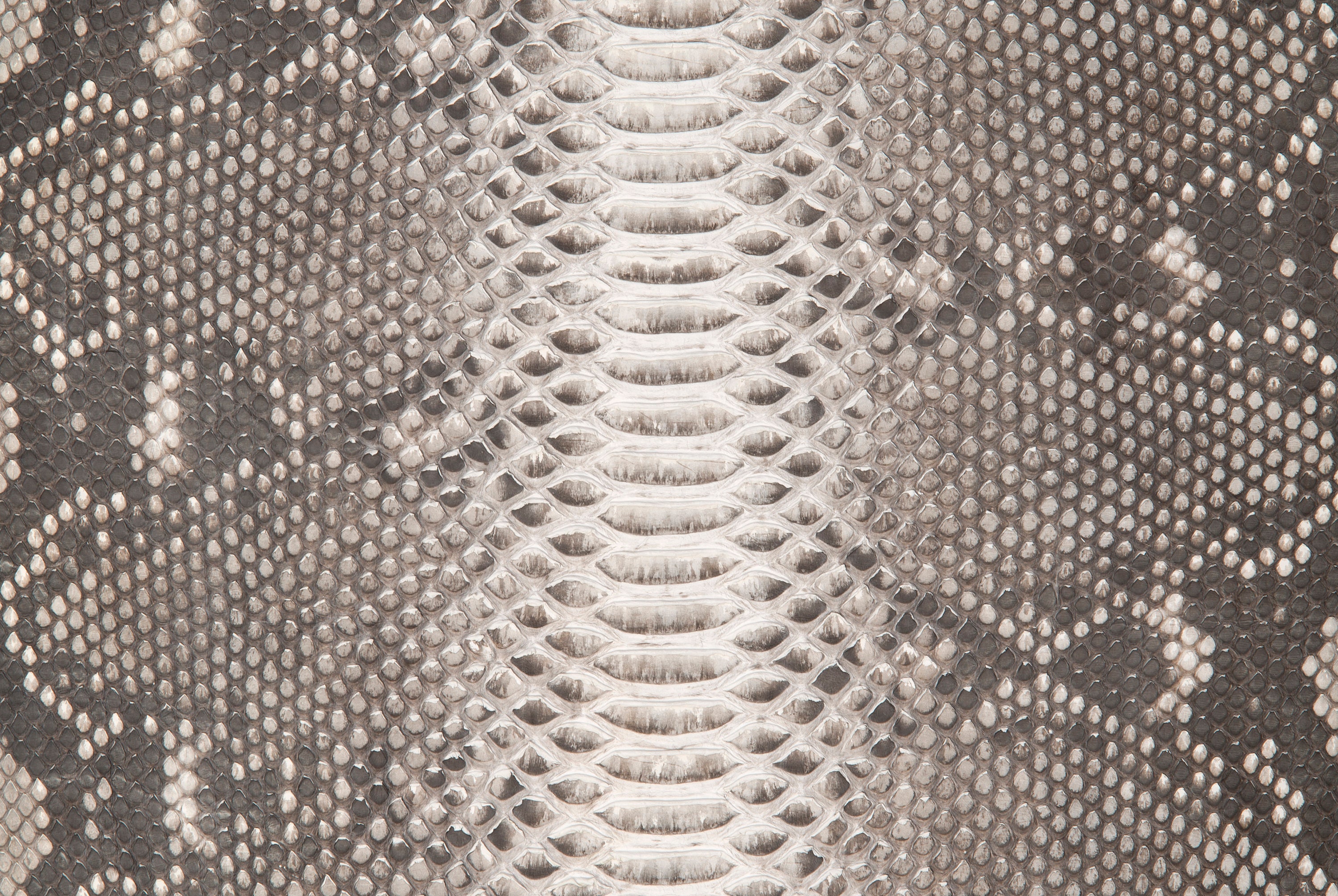 Python Skin Diamond Back Cut Unbleached Matte Natural Grade 2 - Etsy