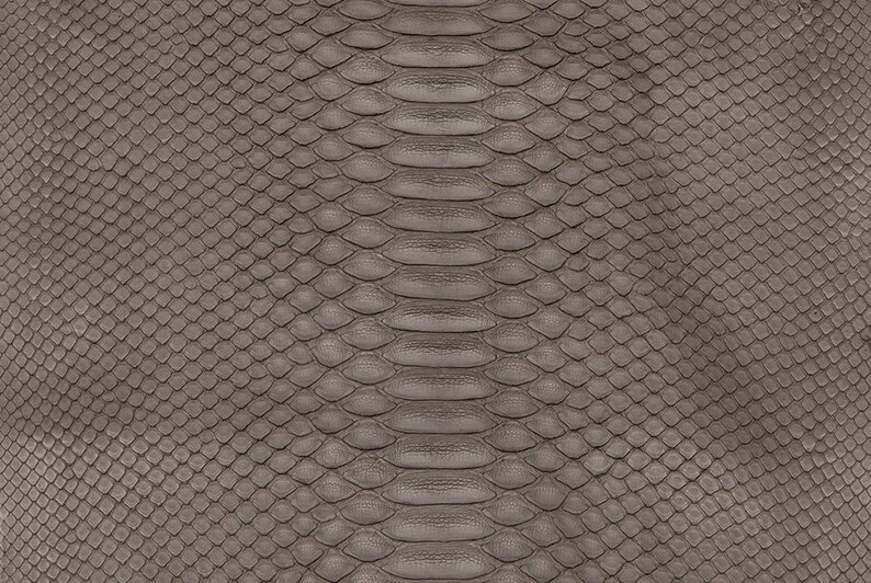 Python Skin Matte Storm Front Grade 1 - Etsy