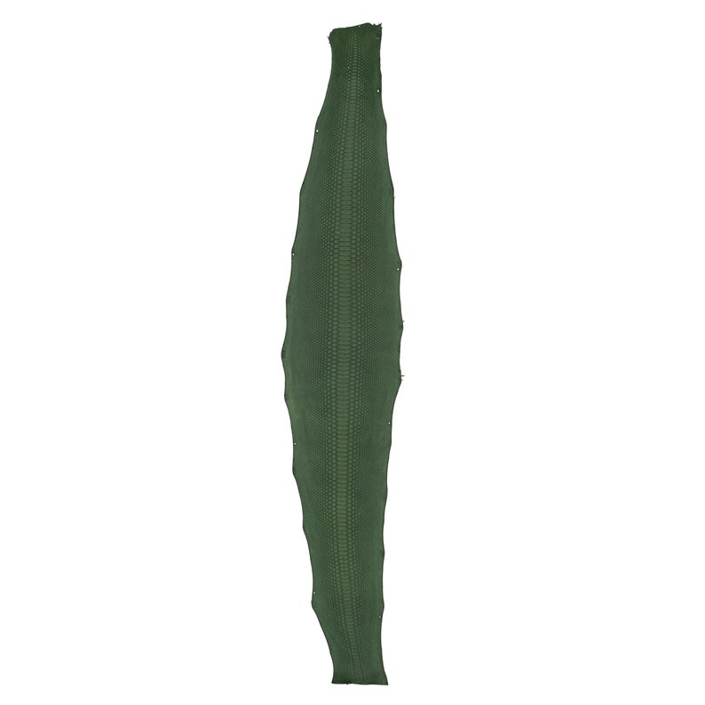 Python Skin Matte Evergreen Grade 1 - Etsy