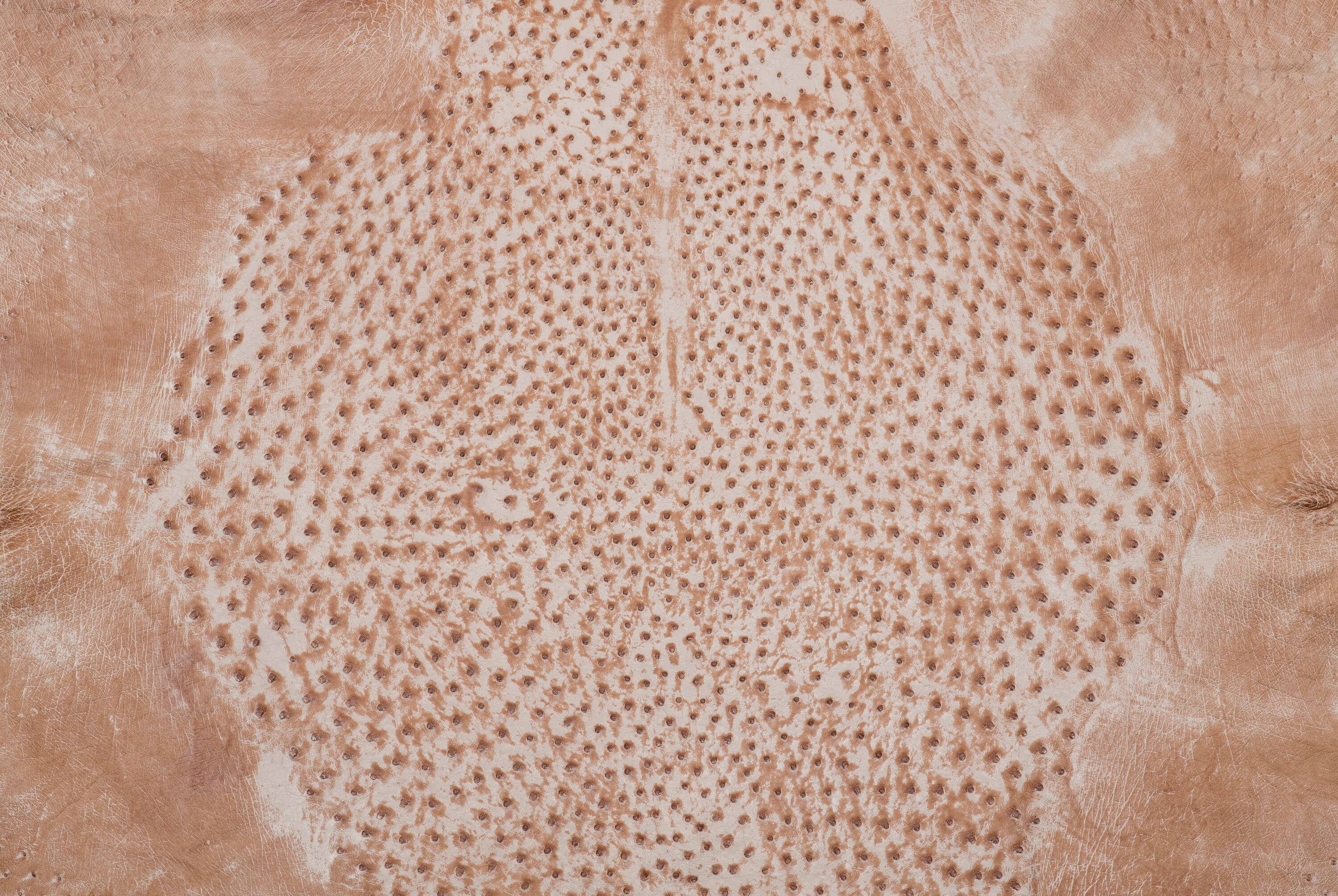 Ostrich Skin RG Cognac - Etsy