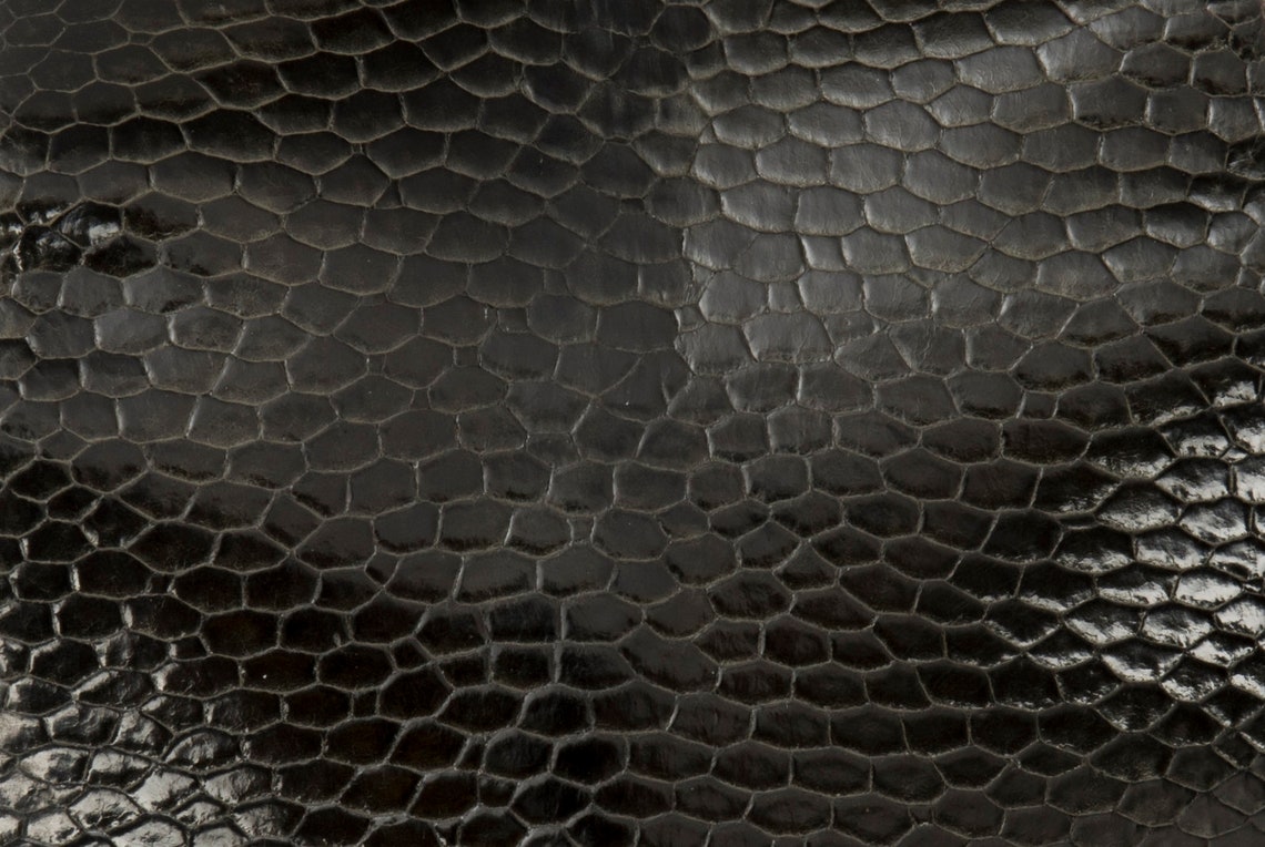 Beaver Tail Glazed Grey Grade 1 - Etsy