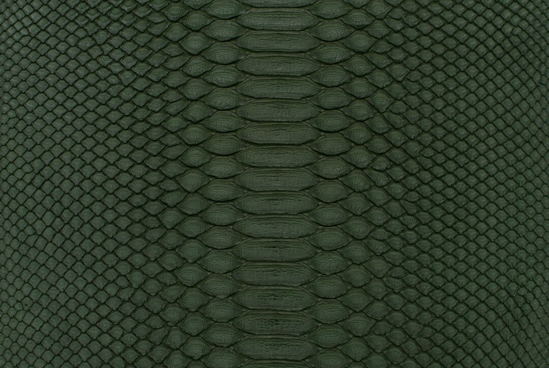 Python Skin Matte Evergreen Grade 1 - Etsy