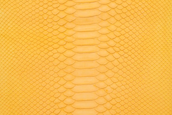 Python Skin Matte Yellow Grade 1 | Etsy