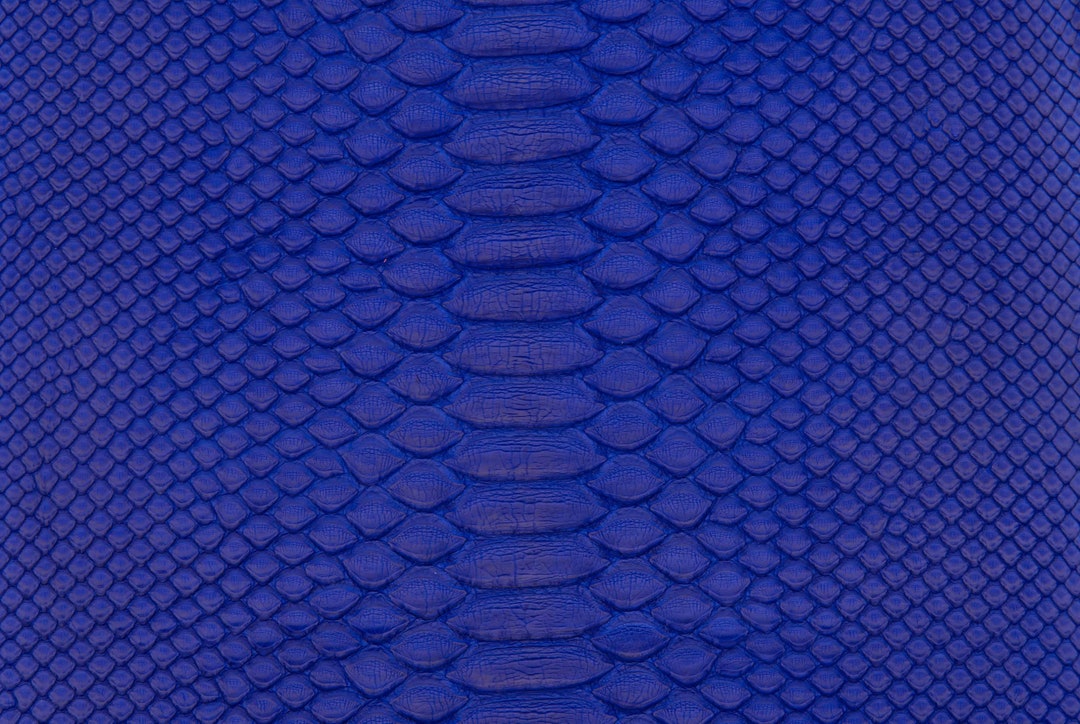 Python Skin Matte Cobalt Grade 2 - Etsy