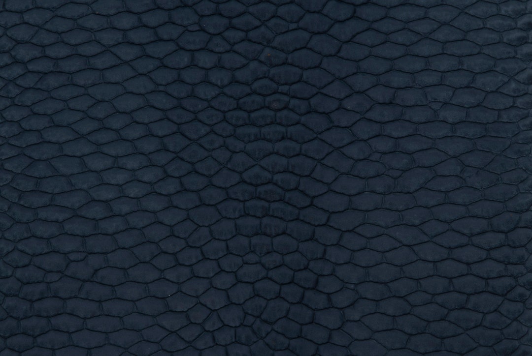 Beaver Tail Matte Navy Grade 1 - Etsy