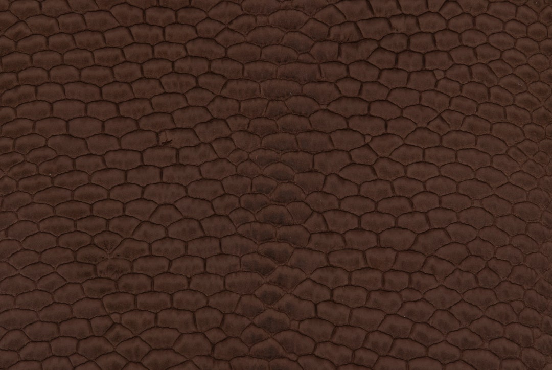 Beaver Tail Matte Brown Grade 2 - Etsy