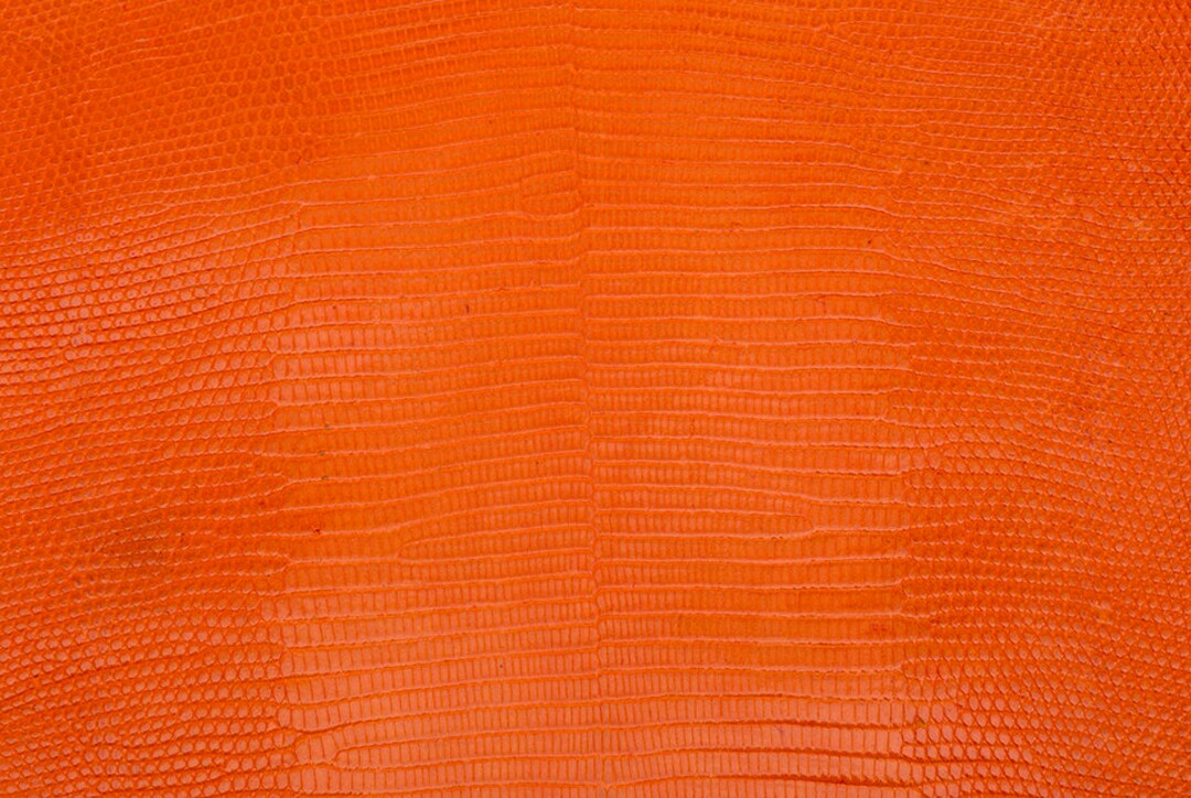 Lizard Skin Glazed Orange - Etsy