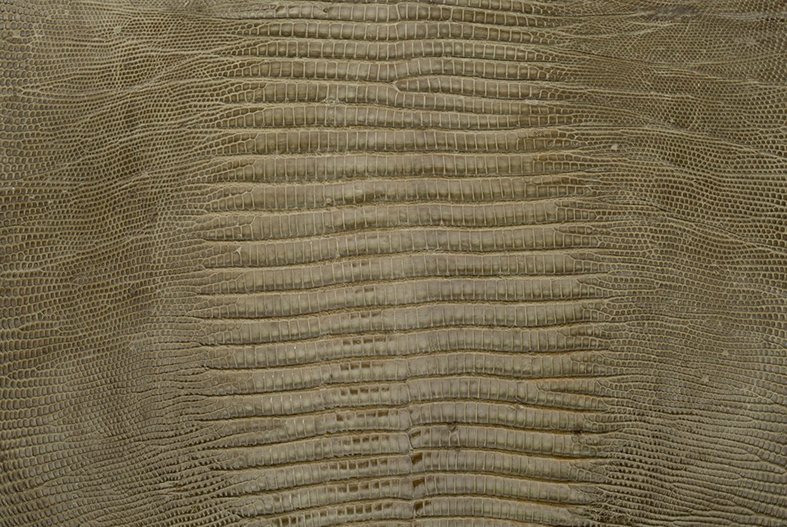 Lizard Skin Glazed Olive - Etsy