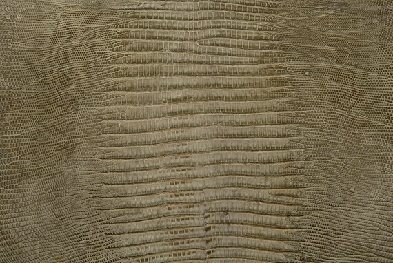 Lizard Skin Glazed Olive - Etsy
