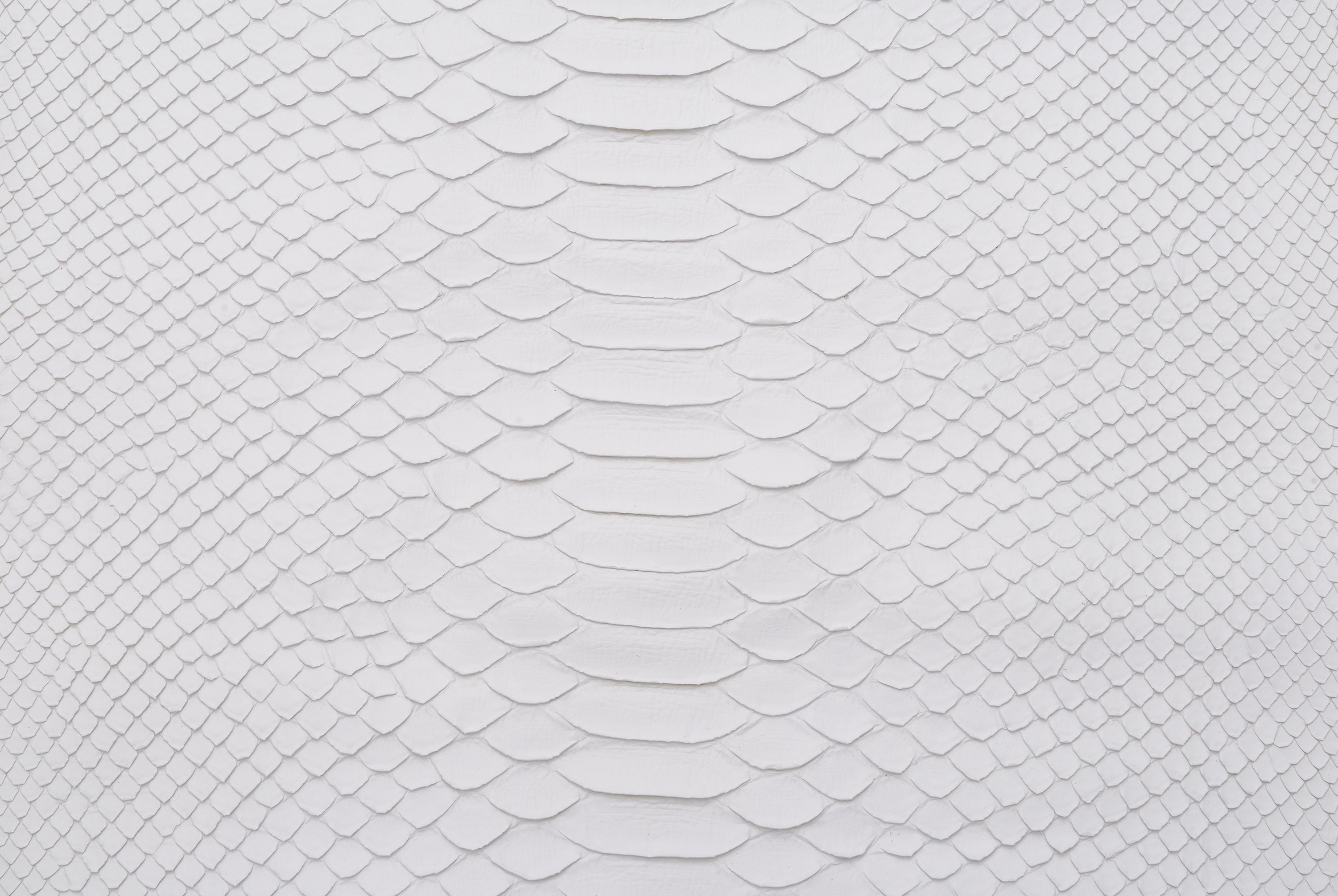 Python Skin Matte White Grade 1 - Etsy