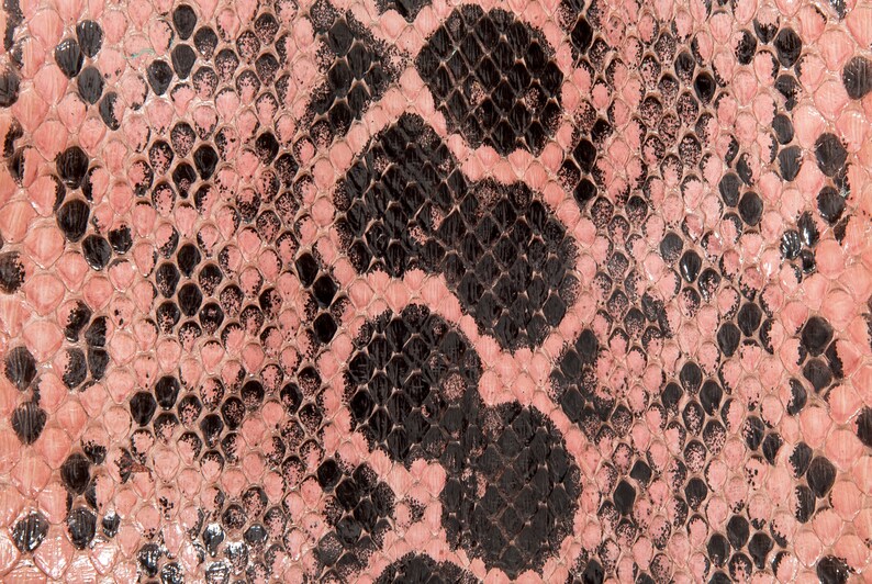 Anaconda Skin Glazed Pink - Etsy