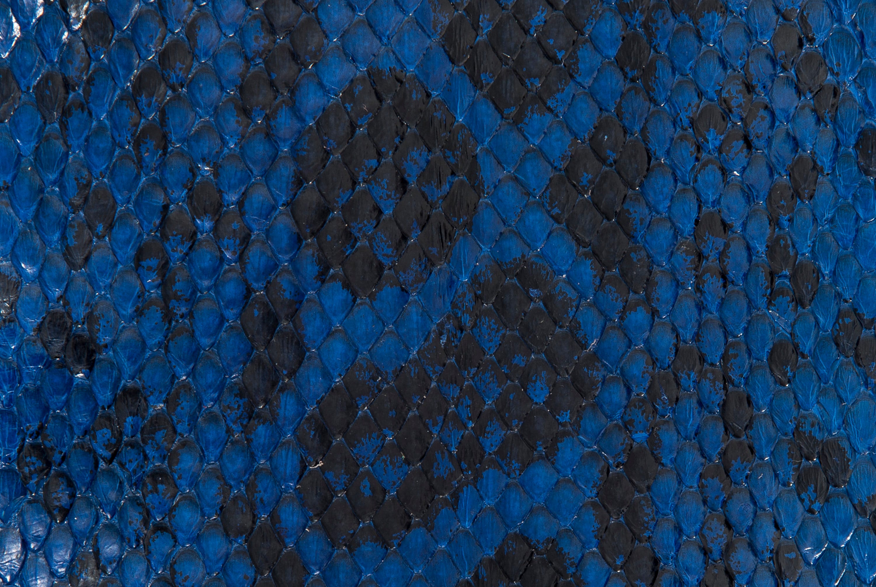 Anaconda Skin Glazed Cobalt - Etsy