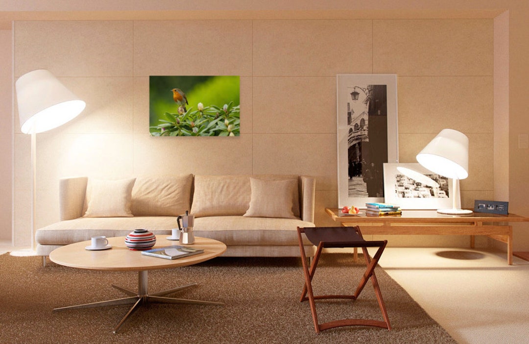 Red Robin - Photo Canvas - Etsy