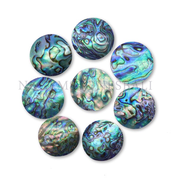 Blue Abalone Shell - Etsy