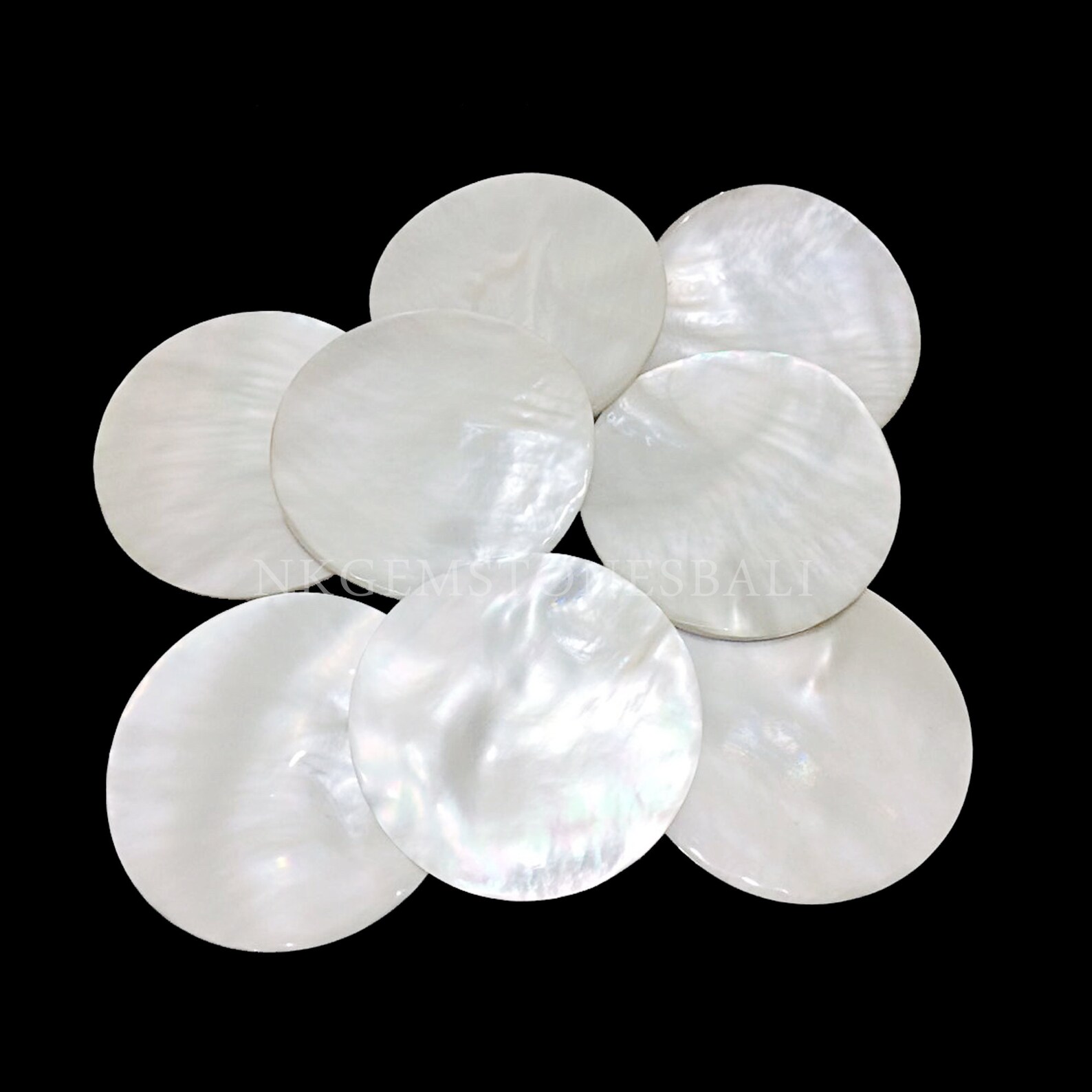 Natural Blister Shell 56mm57mm67mm Calibrated Round Disc - Etsy