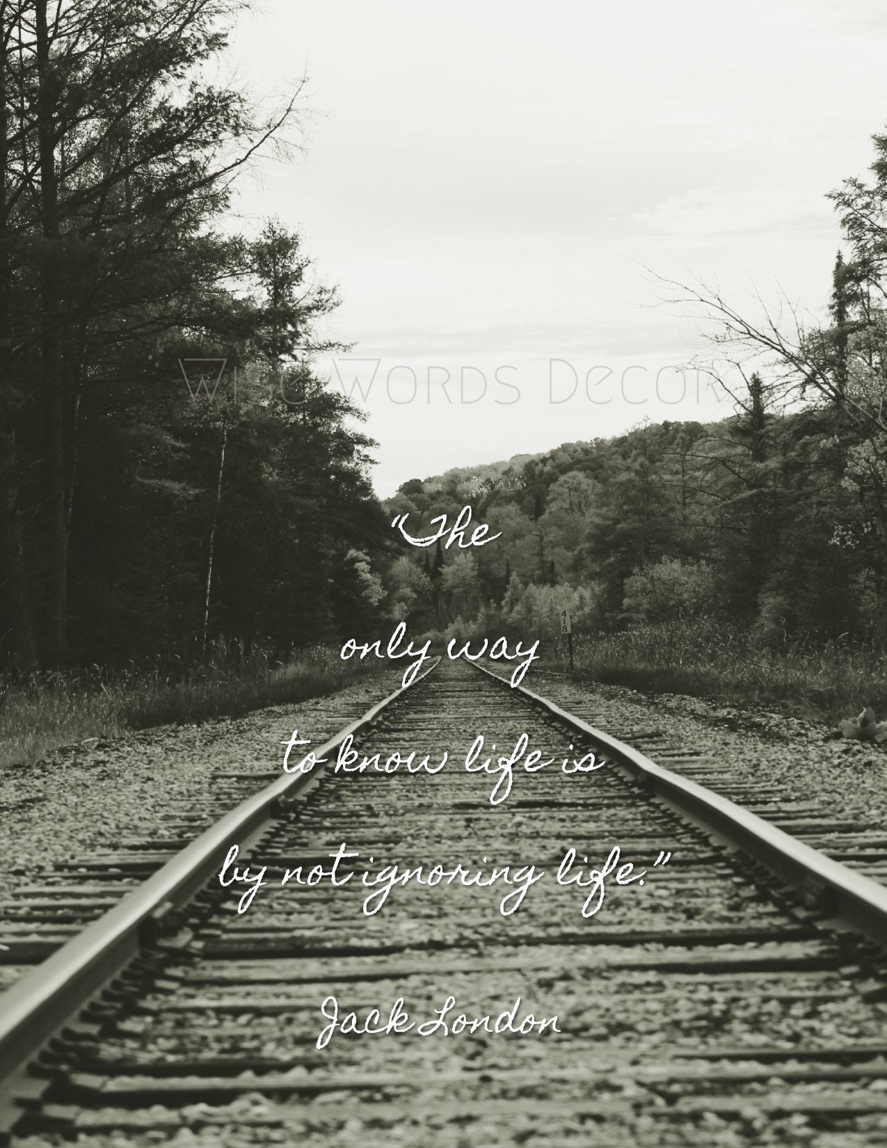 Jack London Inspirational Quote Wall Art, Literary Quote, Life, Train ...