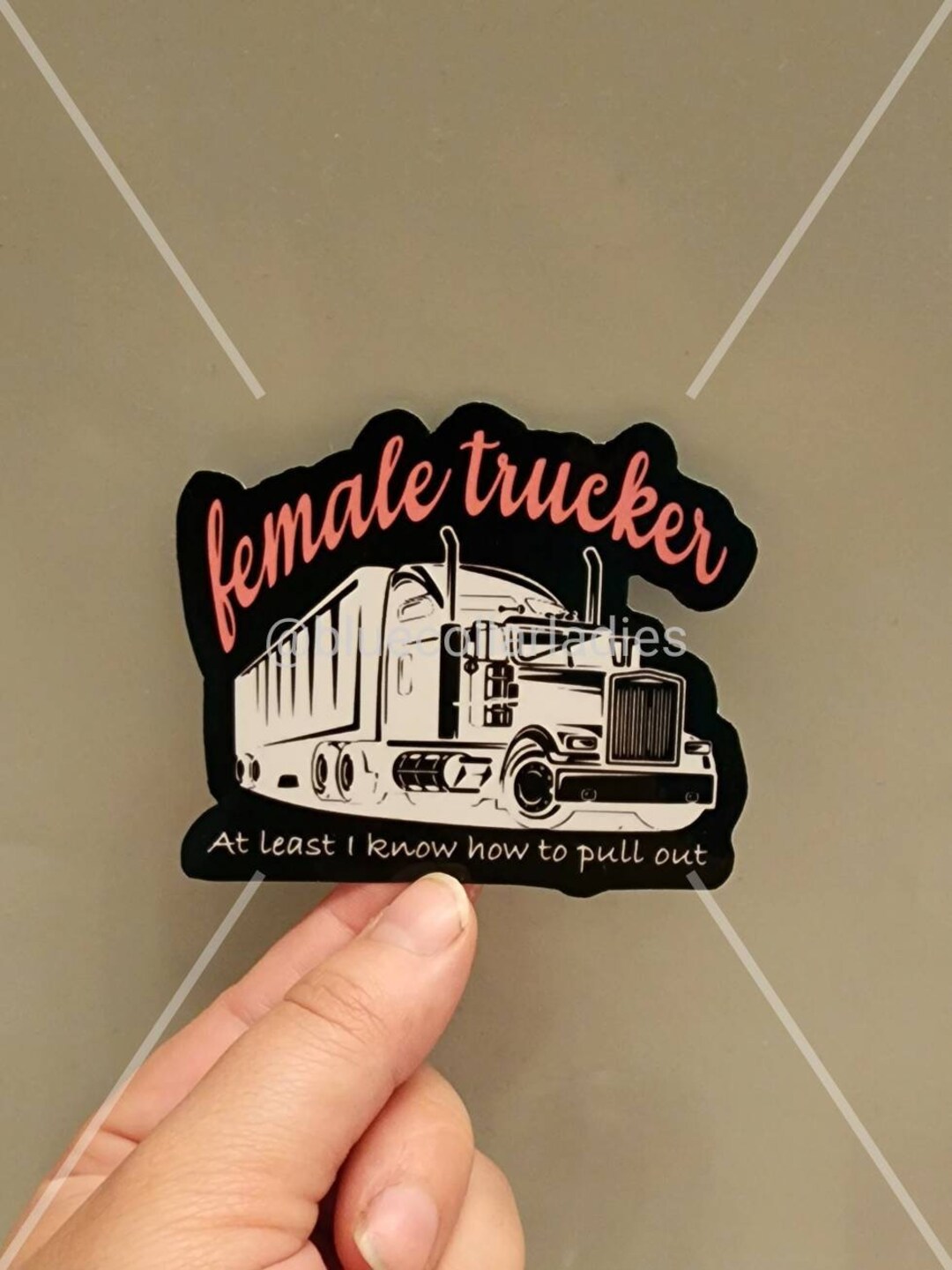 Sticker at Least I Know How to Pull Out Female Truck, Women, Girls in ...