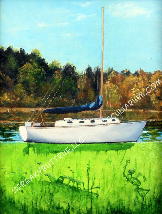 Sailboat on Green Lake Cutaway 2019 Print by Mike Wellins - Etsy