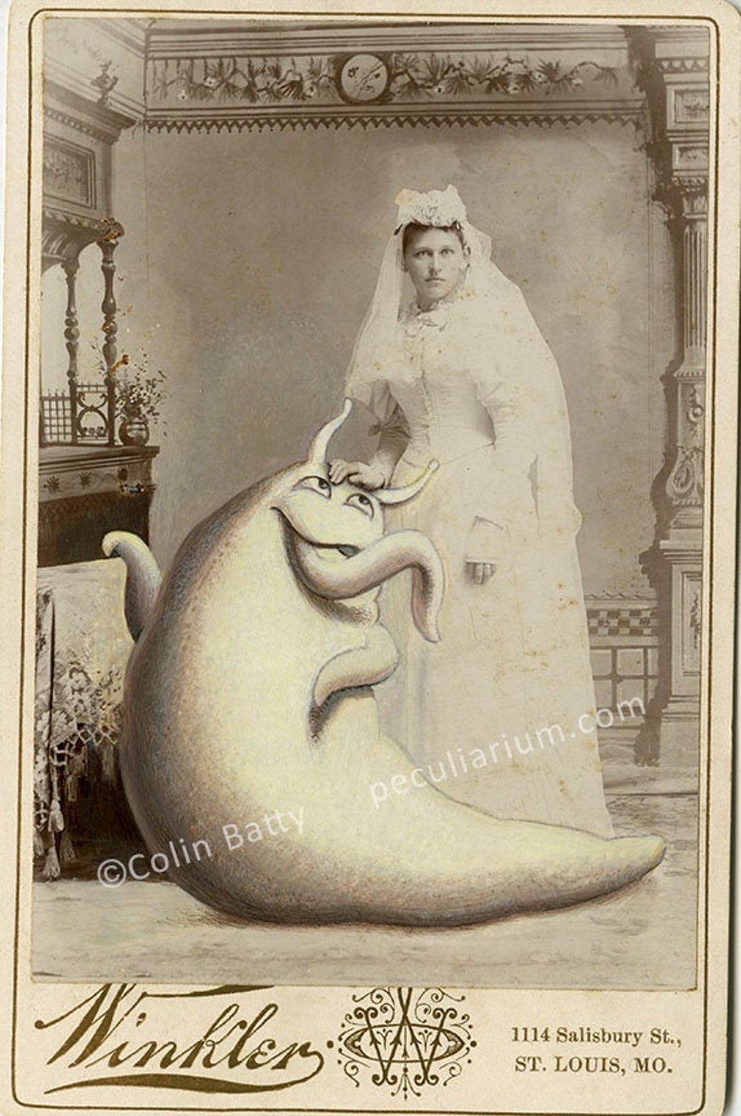 Nueva novia y por Colin Batty FreakyButTrue Peculiarium - Etsy España