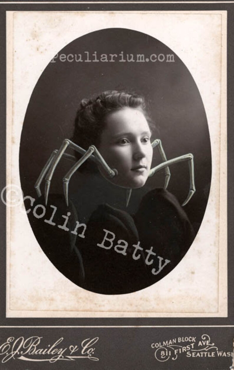 Sweet Charlotte Spider Lady by Colin Batty Freakybuttrue Peculiarium - Etsy