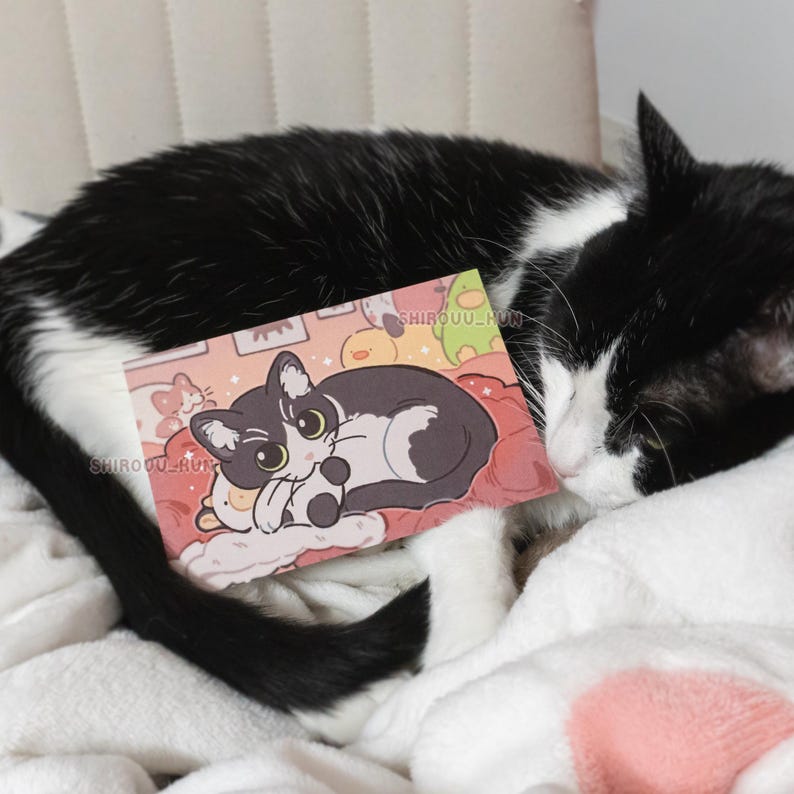 Tuxedo Cat 4x6 Print - Etsy