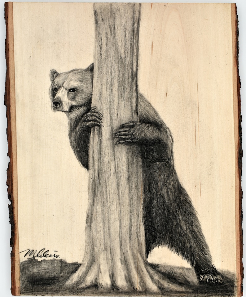 Brown Bear Behind Tree - Charcoal Drawing on Wood, 10.5”x13” - Etsy