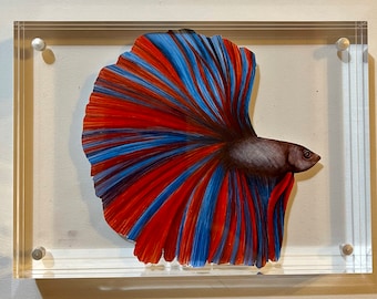 Rainbow Beta Fish - Original Digital Art - Etsy