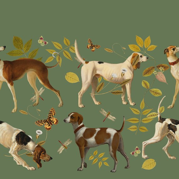 Hunting Dog Backgrounds